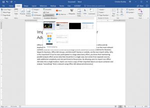 Insert Quick Screen Shots into Word – buckleyPLANET