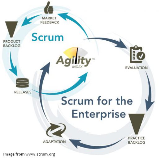 Investing in Product Development Agility – buckleyPLANET